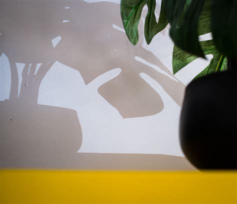 House Plant Website Maria Sciandra • Abstracts Streets … Flickr