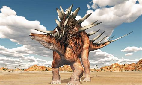 Kentrosaurus Size