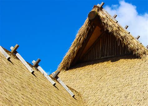 What Is Thatch Eaves At Claire Fahey Blog