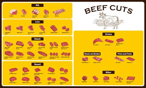 Meat Butcher Chart 10 Free Pdf Printables Printablee