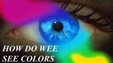 How We Are Able To See Colors Youtube