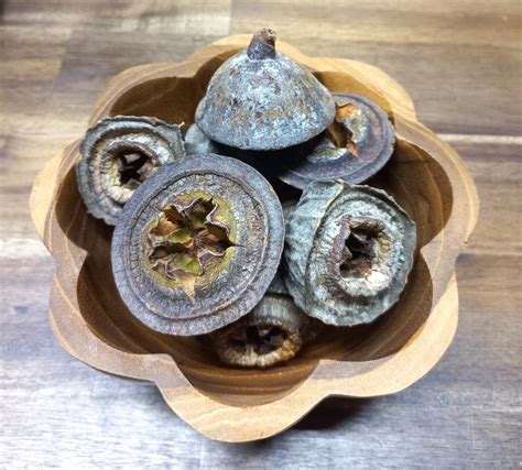 Eucalyptus Macrocarpapyriformis Individual