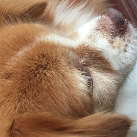 May Lo Hong Kong Baptist University Kowloon Department Of Social