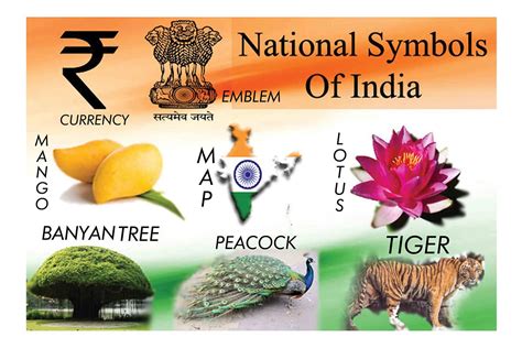 National Symbols And Emblem Of India At Natalie Storey Blog