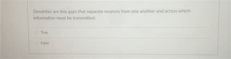 Solved Dendrites Are Tiny Gaps That Separate Neurons From