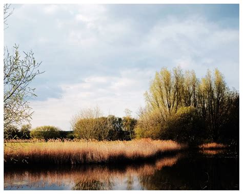 Sonning To Goring Along The Thames Path Andrew Townsend