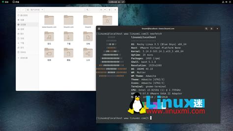 2024 年度最佳 Linux 发行版评选：你真的需要一个 最佳”吗？ Linux迷