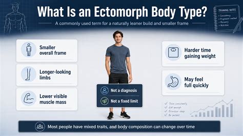 Ectomorph Body Type Diet Muscle Gain And Fat Loss