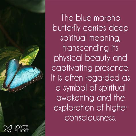 Blue Morpho Butterfly Meaning The Sacred Messenger Of The Rainforest