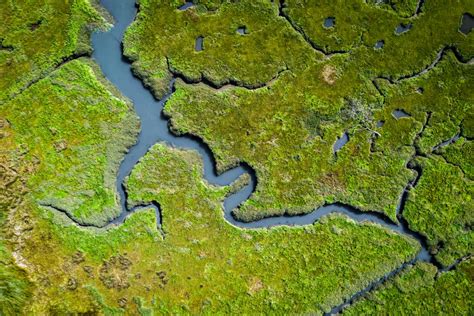 Earth Has Lost One Fifth Of Its Wetlands Since 1700 But Most Could