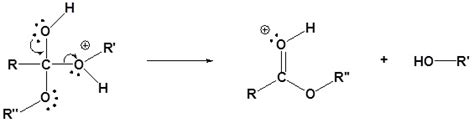 Transesterification Chemistry Libretexts