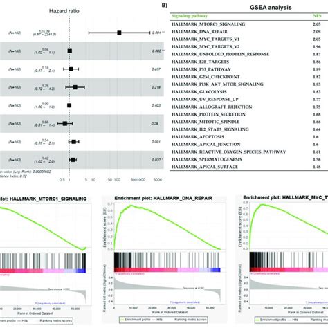 Multivariable Cox Regression And Gsea Enrichment Analysis A
