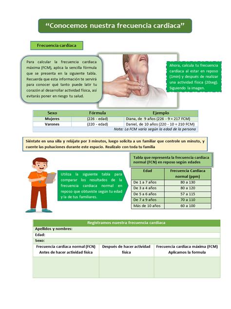 Frecuencia Cardiaca Pdf Ritmo Cardiaco Corazón