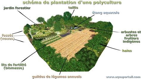 Polyculture Definition Polyculture Définition Et Explications Cevfq