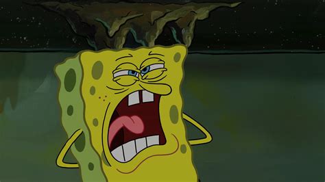 Spongebuddy Mania Spongebob Episode The Incredible Shrinking Sponge