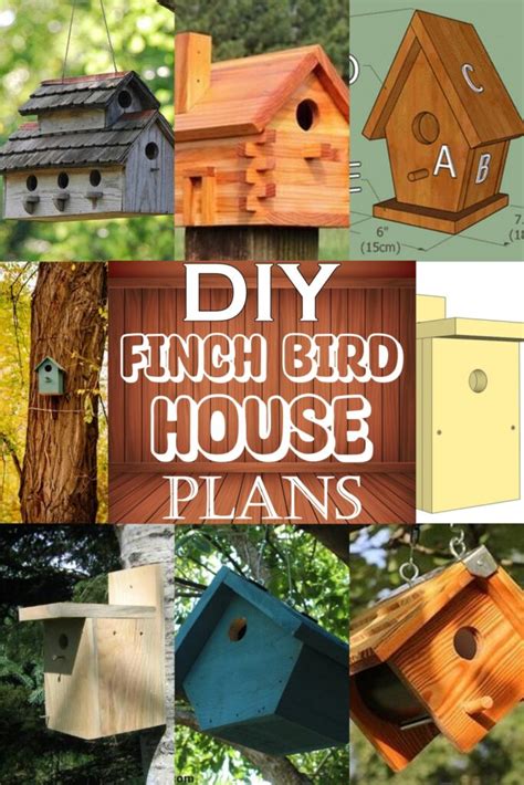 8 Diy Finch Bird House Plans Diyncrafty