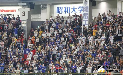 12強賽／日球迷被「台式應援」洗腦！嗨唱《台灣尚勇》感動台灣人 娛樂 Nownews今日新聞