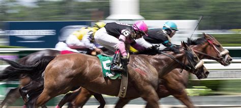 Understanding And Knowing How To Use Trended Data Experian Insights