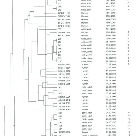 Dendrogram Based On Aflp Fragment Patterns Of 60 Campylobacter Jejuni