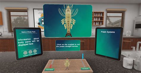 Vr Prawn Dissection Bringing Realism To University Biology Courses