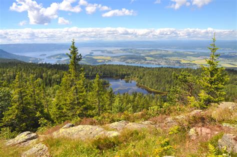 Utsiktstur Til Gyrihaugen Fra Damtjern Ut No