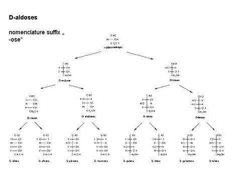 Aldoses Polyhydroxy Carbonyl Compounds Of General Formula Cn