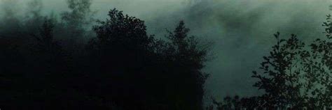 Discord Banner Green Aesthetic Dark Forest Aesthetic Dark Green