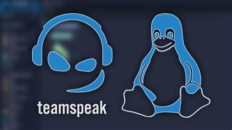Setup A Teamspeak Server On Linux With Basic Config By Davidjaksa Fiverr