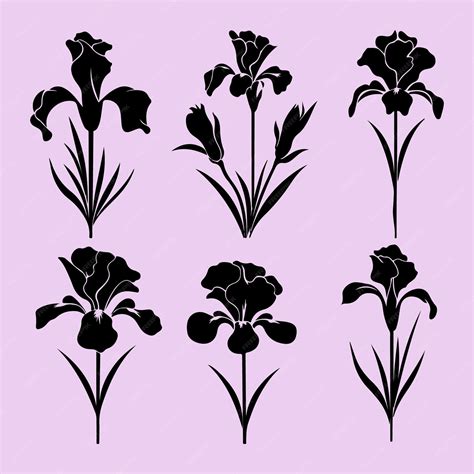 Premium Vector Iris Flower Set Black Silhouette Clip Art