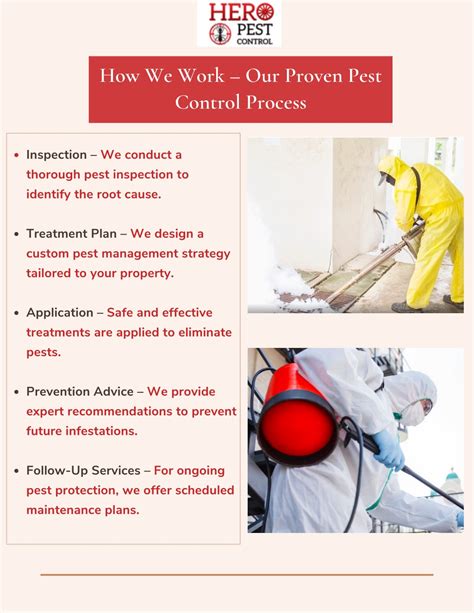 Ppt Expert Pest Control In Narre Warren And Chelsea Hero Pest Control