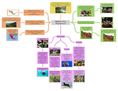 México País Megadiverso Coggle Diagram