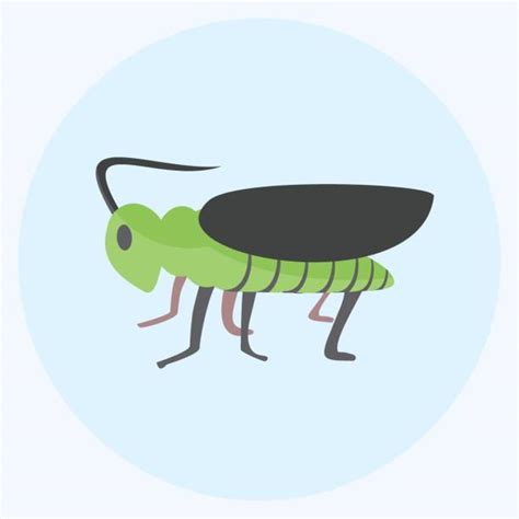 150 Grasshopper Face Stock Illustrations Royalty Free Vector Graphics
