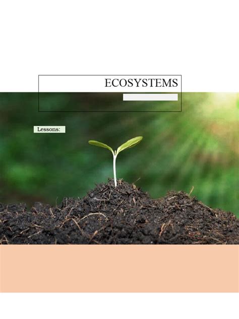 Module 2 Ecosystem Pdf Cell Biology Ecosystem