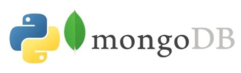 Python Mongodb Date Time Query With Examples Thecodebuzz