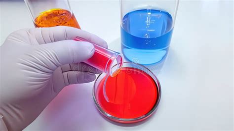 The Scientist Is Doing An Experiment In The Science Room Stock