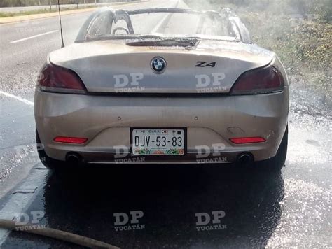 Carísima Chicharra En La Mérida Campeche