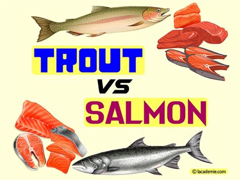 Trout Vs Salmon Whats The Difference Cdke