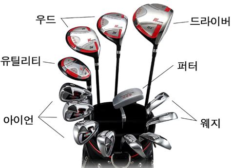골프 클럽의 구성과 종류 소개