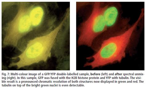 Fluorescence Basics Techniques Advantages 2005 Wiley Analytical