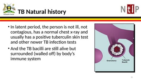 Unit 1 2 Tb Basic Facts And Classification Pptx