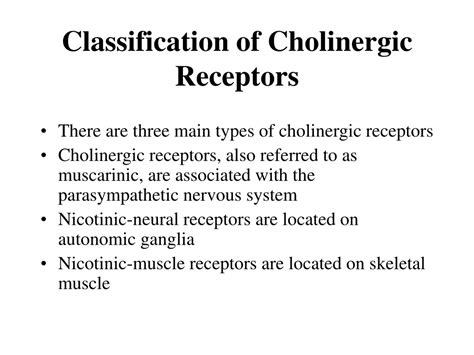 Ppt The Autonomic Nervous System Alpha And Beta Receptors Powerpoint