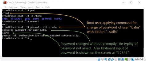 Mastering User Passwords A Complete Guide To Using The Passwd Command