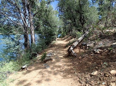 Arizona Hiking Lynx Lake Trail