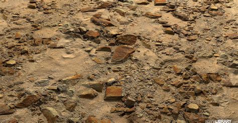 Scanslibrary New Surface Scans Facebook