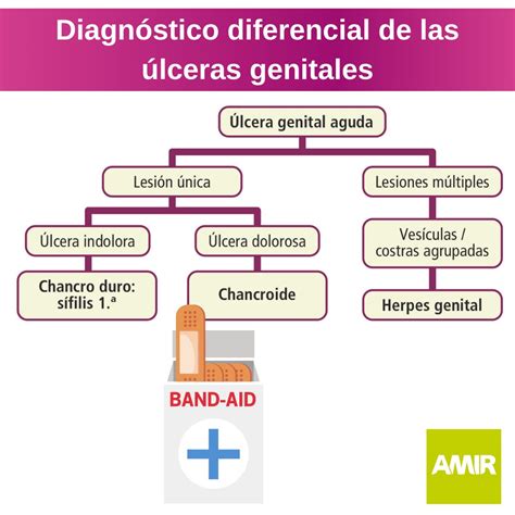 Que Son Las Ulceras Genitales