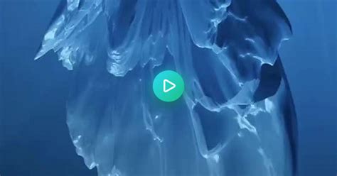 Iceberg Album On Imgur