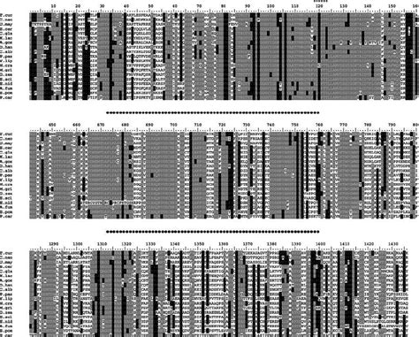Comparison Of The Amino Acid Sequence Of The Arom Polypeptide From R Download Scientific