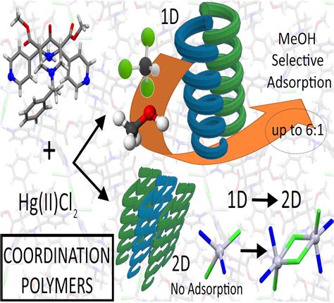 Bispidine Based Hgii 1d Coordination Polymers Of Helical Topology