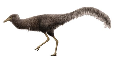 Mononykus The Swift Hunter With A Deadly Claw