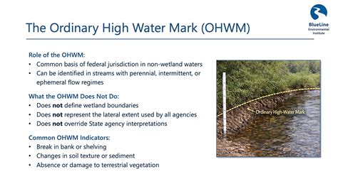 California Wetland Training Program Blueline Environmental Institute